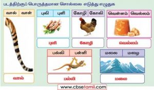 CBSE Class 2 Tamil solution - Chapter 9.1 வந்தபாதை