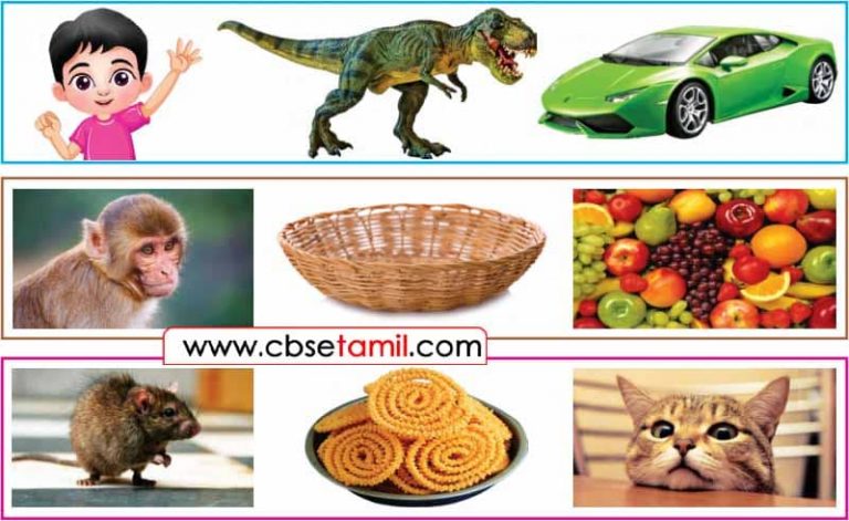 CBSE Class 2 Tamil solution - Chapter 19