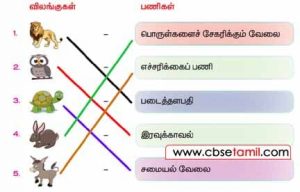 CBSE Class 3 Tamil solution - Chapter 3 தனித்திறமை