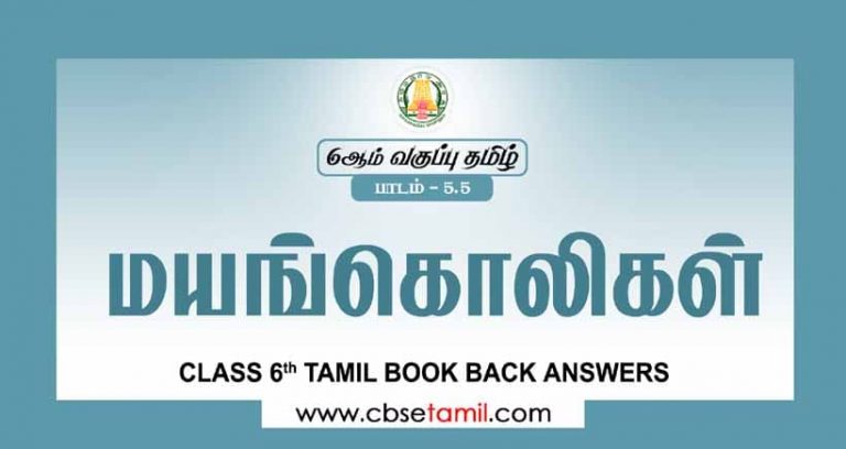 CBSE Class 6 Tamil Solution - 5.5 மயங்கொலிகள்