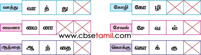 CBSE Class 2 Tamil solution - Chapter 4 நானும் நாங்களும்